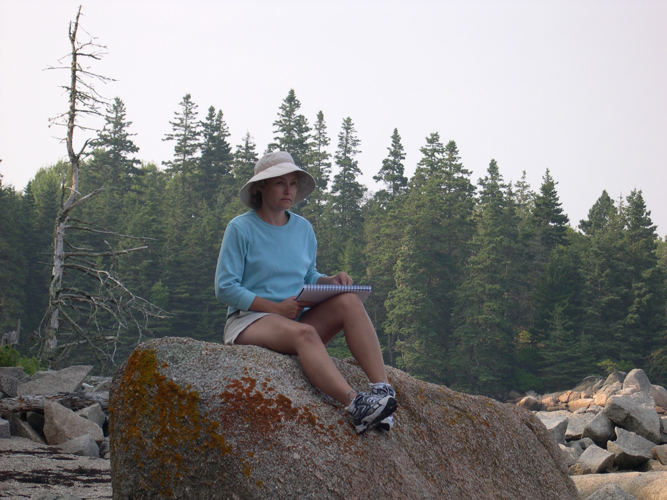 About – lisaschafer